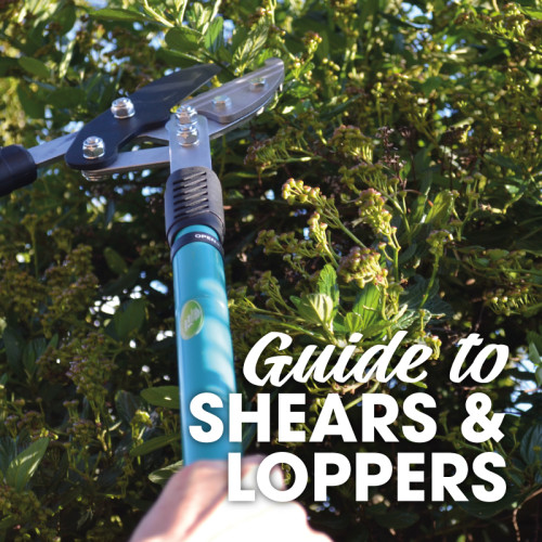 Centurion - Hedge Shears, 460mm