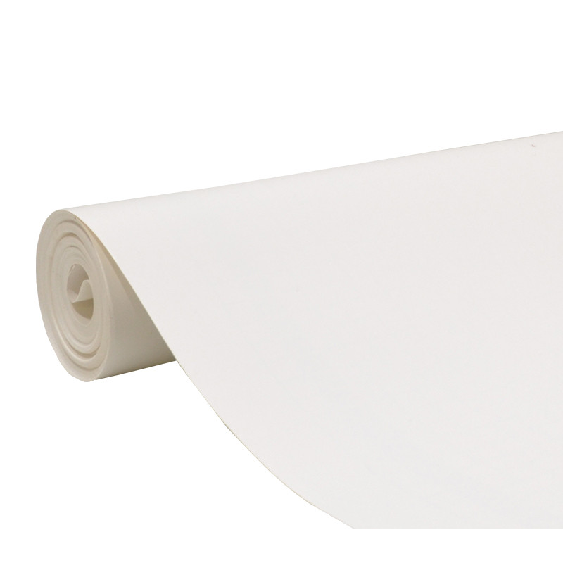 Centurion - White Matt Vinyl 1.5m Roll