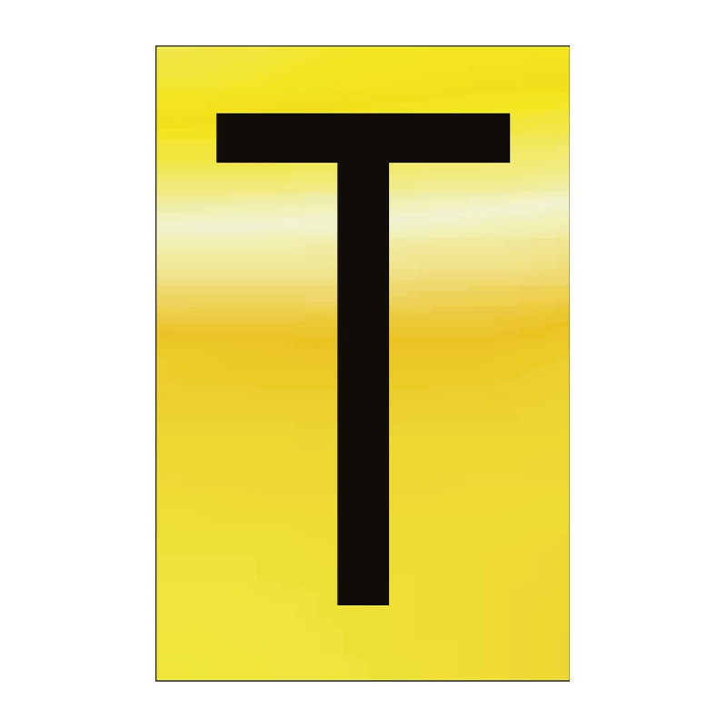 Centurion - 50mm Polished Gold Effect, Character 'T'