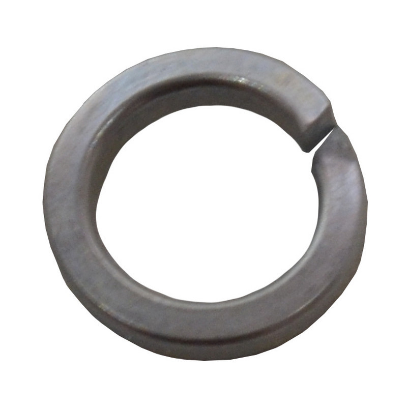 Centurion - Spring Washers, M6, Zinc Plated