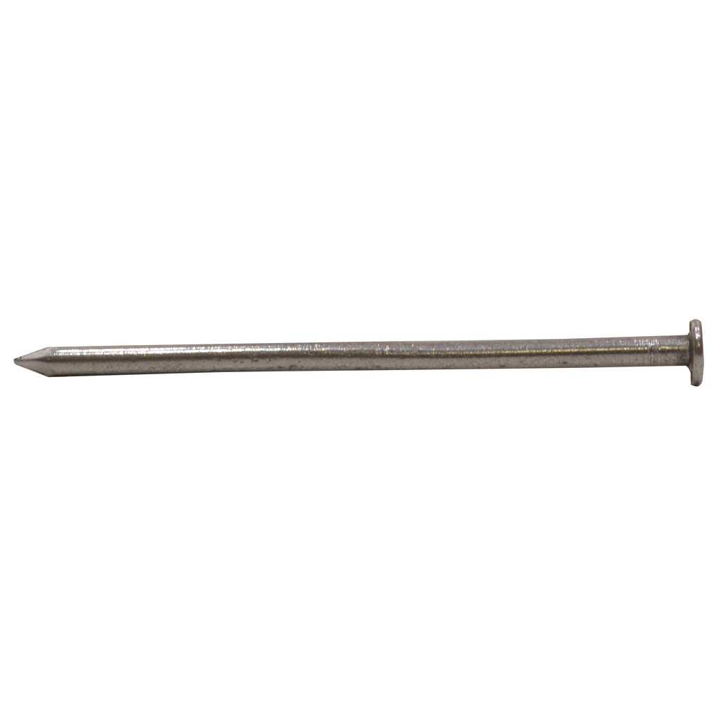 Centurion - Repair Shop Round Wire Nails - Bright - 100mm - 500g