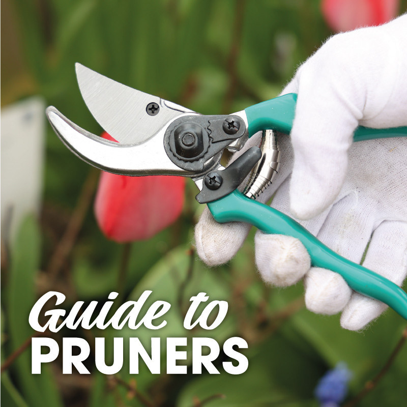 Centurion - Felco Type Secateurs, 190mm