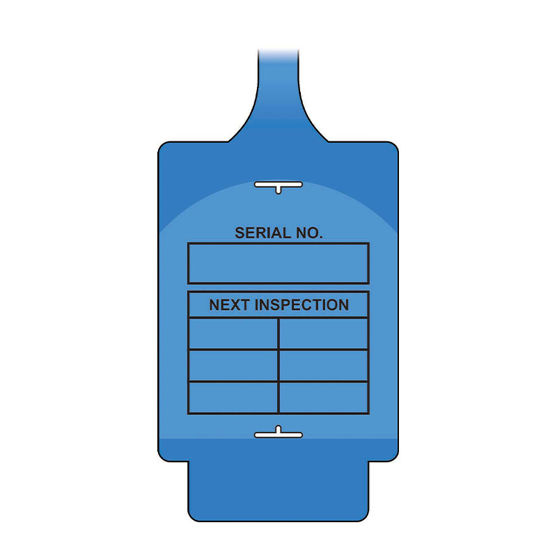 Centurion - 'AssetTag Flex Next Inspection' Tag, Blue (Pack of 50)